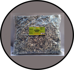 10 Oz (1,000+) Moringa Oleifera Seeds - Moringa products