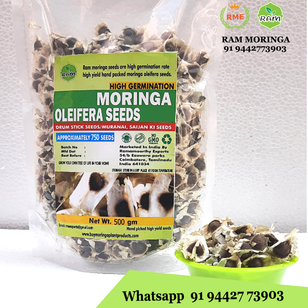 How to Grow the Moringa Tree - Moringa products